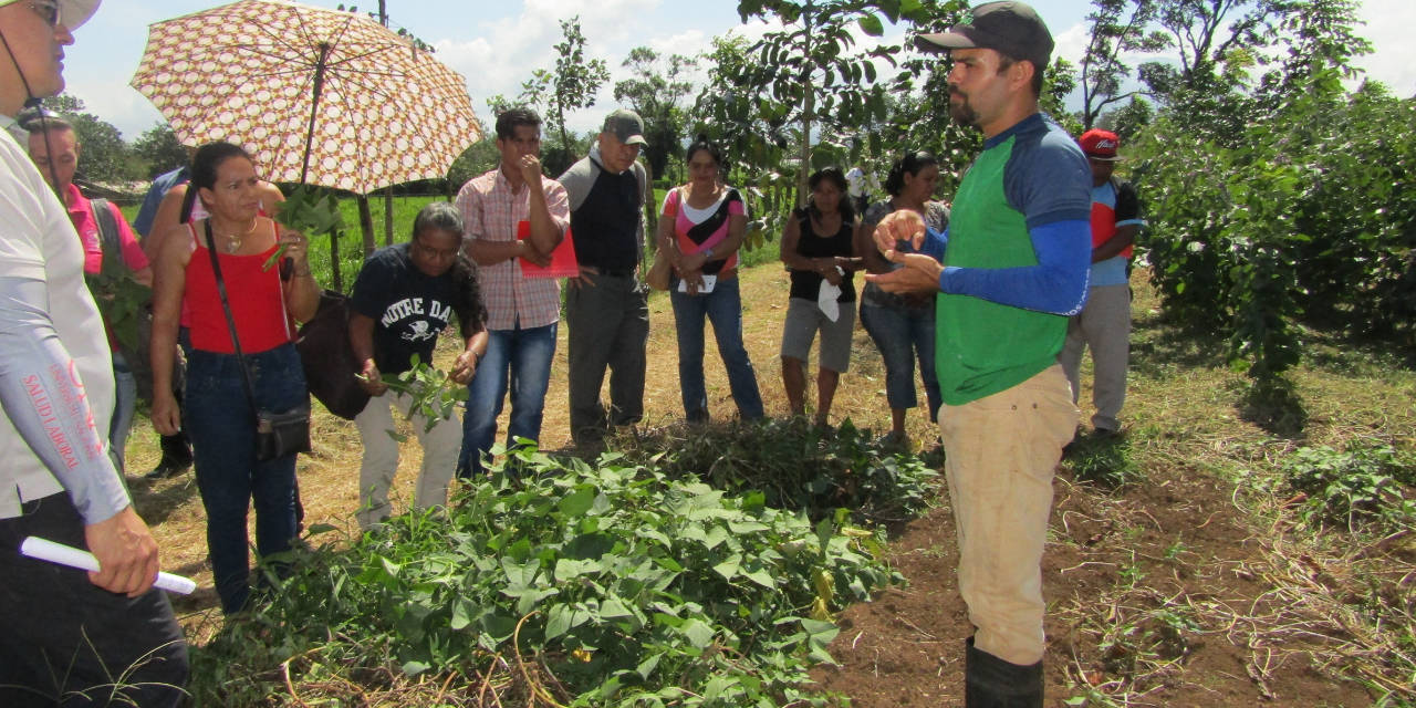 Ingeniería Agronómica - Universidad Nacional